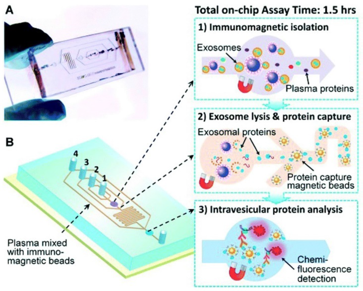 Exosome isolation by centrifugation, filtration, immunoaffinity & more
